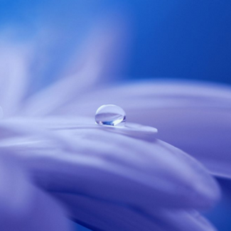 Courses – Page 2 – Dr. Amber Mele'ha Wolf